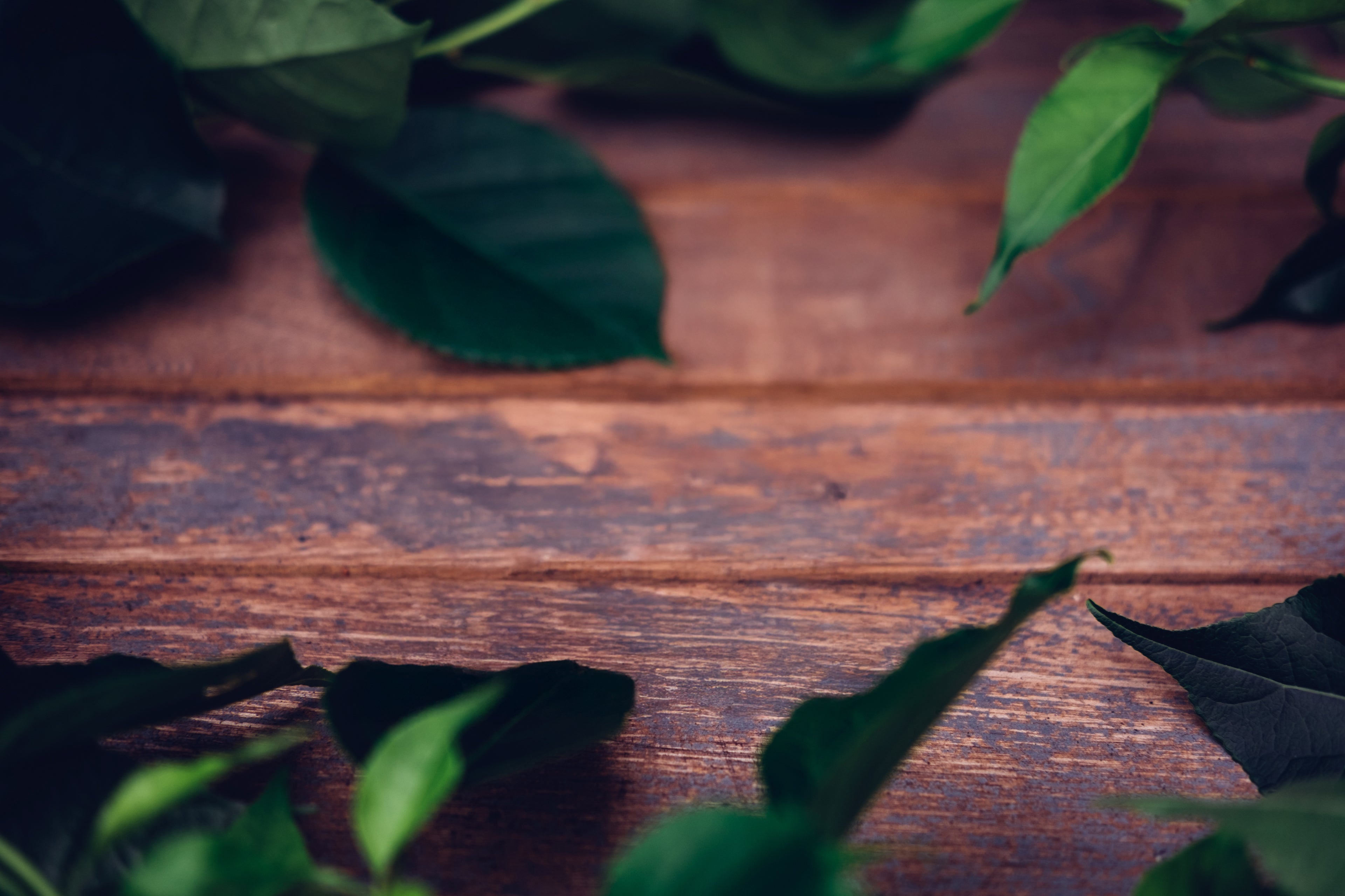 NiSV.SCHOOL – Zertifizierte NiSV-Schulungen | Online & Präsenz – NISVSCHOOL